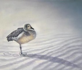 Ptáček na poušti - 60 x 90 cm