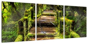 Obraz schodů v deštném pralese (s hodinami) (90x30 cm)