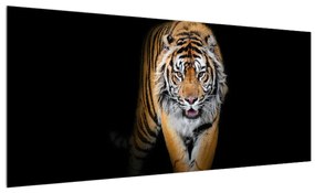 Obraz tygra (100x40 cm)