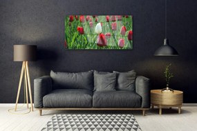 Obraz na skle Tulipány Květiny Příroda 100x50 cm