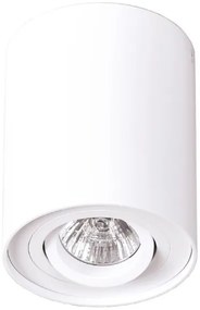 MaxLight Basic Round stropní světlo 1x50 W bílá C0067