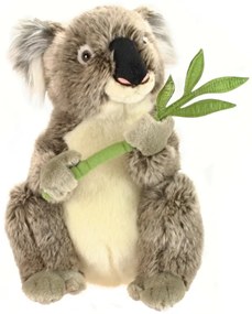 Plyš Koala 30 cm