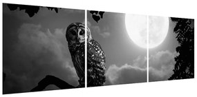Obraz noční sovy (150x50 cm)