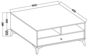 TOKYO 1 e | konferenční stolek 201 | 100,2x65 cm | eukalyptová/černá