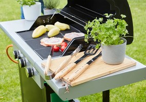 Barbecook | Plynový gril Barbecook Spring 3112 | 14061135