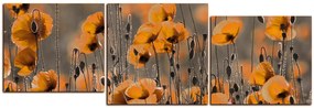 Obraz na plátně - Krásné divoké máky - panoráma 597QD (120x40 cm)