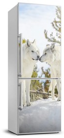 Wallmuralia Nálepka fototapeta lednička Dva bílí vlci 60x180 cm