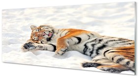 akrylový obraz Tiger winter 120x60 cm