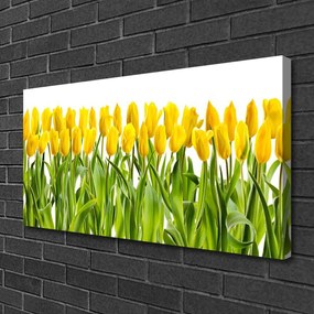 Obraz na plátně Tulipány Květiny Příroda 125x50 cm