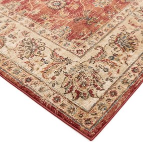 Červený koberec 160x220 cm Raja – Asiatic Carpets
