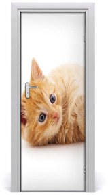 Samolepící fototapeta na dveře Malá rudá kočka 75x205 cm