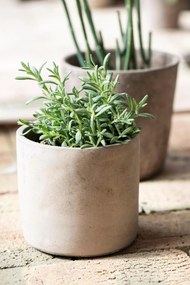 Betonový obal na květináč Concrete Brown, béžová barva, beton 9,5cmx11cm