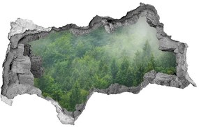 Wallmuralia Samolepící díra nálepka Tajemný les 95x73 cm