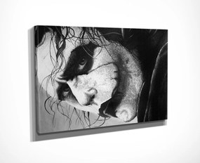 Obraz JOKER 30x40 cm šedý