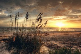 Obraz západ slunce na pláži Varianta: 120x80