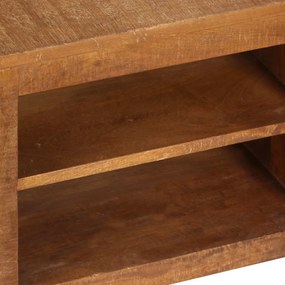 vidaXL TV stolek 120 x 30 x 40 cm masivní mangovníkové dřevo [247941]