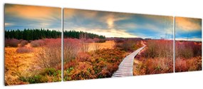 Obraz - Podzimní cesta krajinou (170x50 cm)