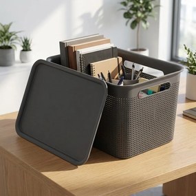 Rotho Úložný box s víkem a s madly BRISEN 16l, 36x26,2x21cm, černý