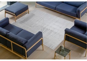 Kusový koberec Trigna stříbrnošedý 160x220cm