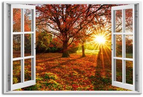 3D obraz podzimní slunce Velikost (šířka x výška): 30x20 cm