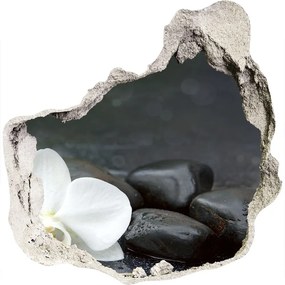 Wallmuralia Samolepící nálepka fototapeta Orchidej 75x75 cm
