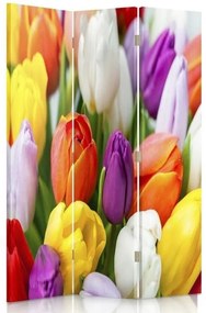 Ozdobný paraván Barevné tulipány Květiny - 110x170 cm, třídílný, klasický paraván