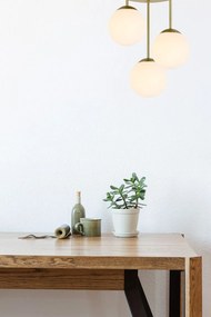 Toolight Rea, LAMP APP1817-3CPR GOLD, OSW-00667