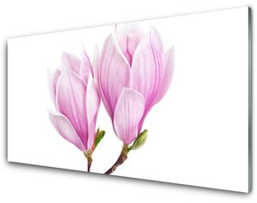 Obraz na skle Květ Rostlina Příroda 100x50 cm