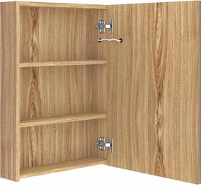LED koupelnová skříňka se zrcadlem dub 50 x 13 x 70 cm 326492
