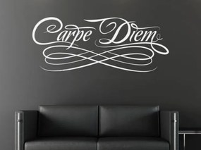 Dekorace na zeď - Carpe Diem