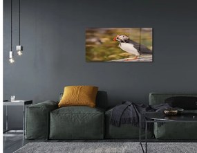 Obraz na skle Papoušek 120x60 cm