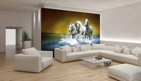 Fototapeta - Bílý kůň tryskem na vodě (254x184 cm)