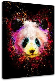 Gario Obraz na plátně Duhová panda - Dmitry Belov Rozměry: 40 x 60 cm