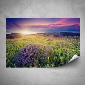 Plakát - Fialové květy na louce (60x40 cm) - PopyDesign