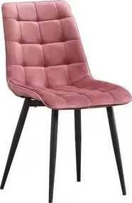 Casarredo - Komfort nábytek Jídelní židle TRIX antique růžová/černý kov