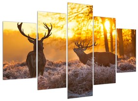 Obraz jelenů (150x105 cm)