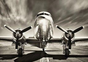 Postershop Fototapeta vliesová: Letadlo (černobílé) - 184x254 cm