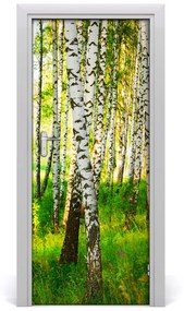 Fototapeta na dveře samolepící břízový les 75x205 cm