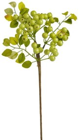 větvička s bobulkami - zelená