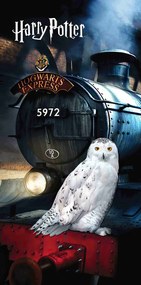 Jerry Fabrics Dětská plážová osuška HARRY POTTER NIKOMU HEDWIG, sova s vlakem tmavě modrá, froté, 70x140cm