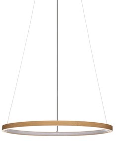 Závěsné svítidlo FINN, LED, O 50 cm