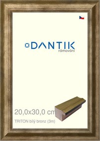 DANTIK rámeček 20x30 | TRITON bílý bronz (Sklo Čiré)