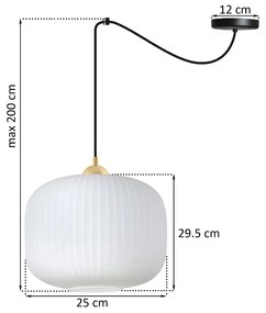 Závěsné svítidlo Riffle Spider 3, 1x bílé skleněné stínítko, b/g