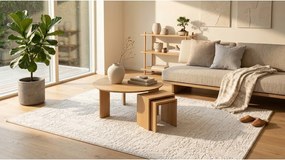 Krémový koberec 160x230 cm Celeste – ESTE