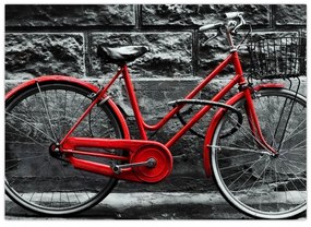 Obraz - Historický bicykl (70x50 cm)