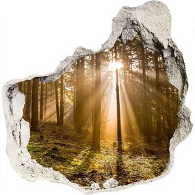 Wallmuralia Samolepící díra nálepka Sluneční světlo 75x75 cm