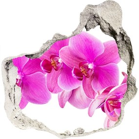 Wallmuralia Samolepící díra nálepka Růžová orchidej 75x75 cm