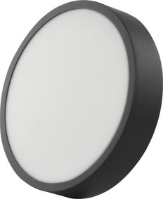 XXXLutz STROPNÍ LED SVÍTIDLO, 22.5/4.2/22.5 cm - Stropní svítidla - 005710070401