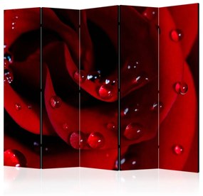 Paraván - Red rose with water drops II [Room Dividers]