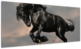 Černý kůň, obraz (100x40cm)